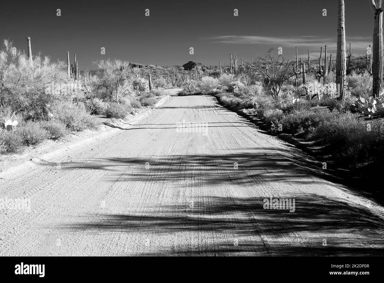 Infrared Arizona dirt road Stock Photo - Alamy
