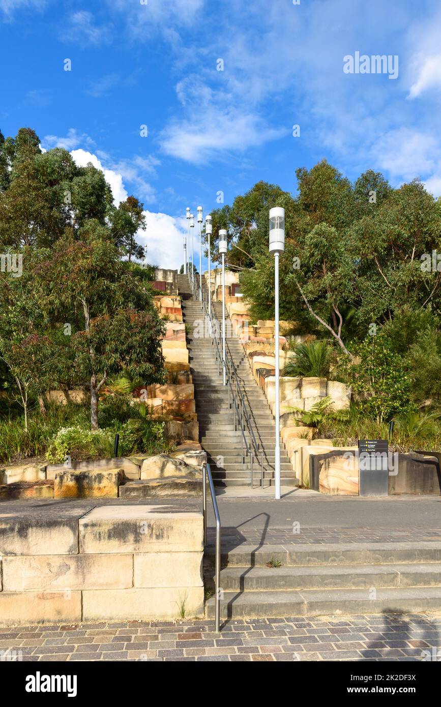Burrawang steps hi-res stock photography and images - Alamy