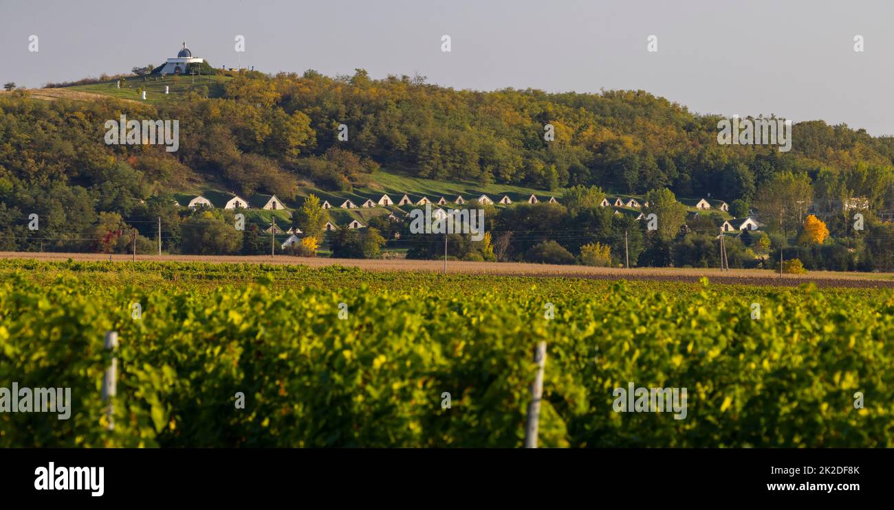 Gombos-hegyi pincesor in Hercegkut, UNESCO site, Great Plain, North ...