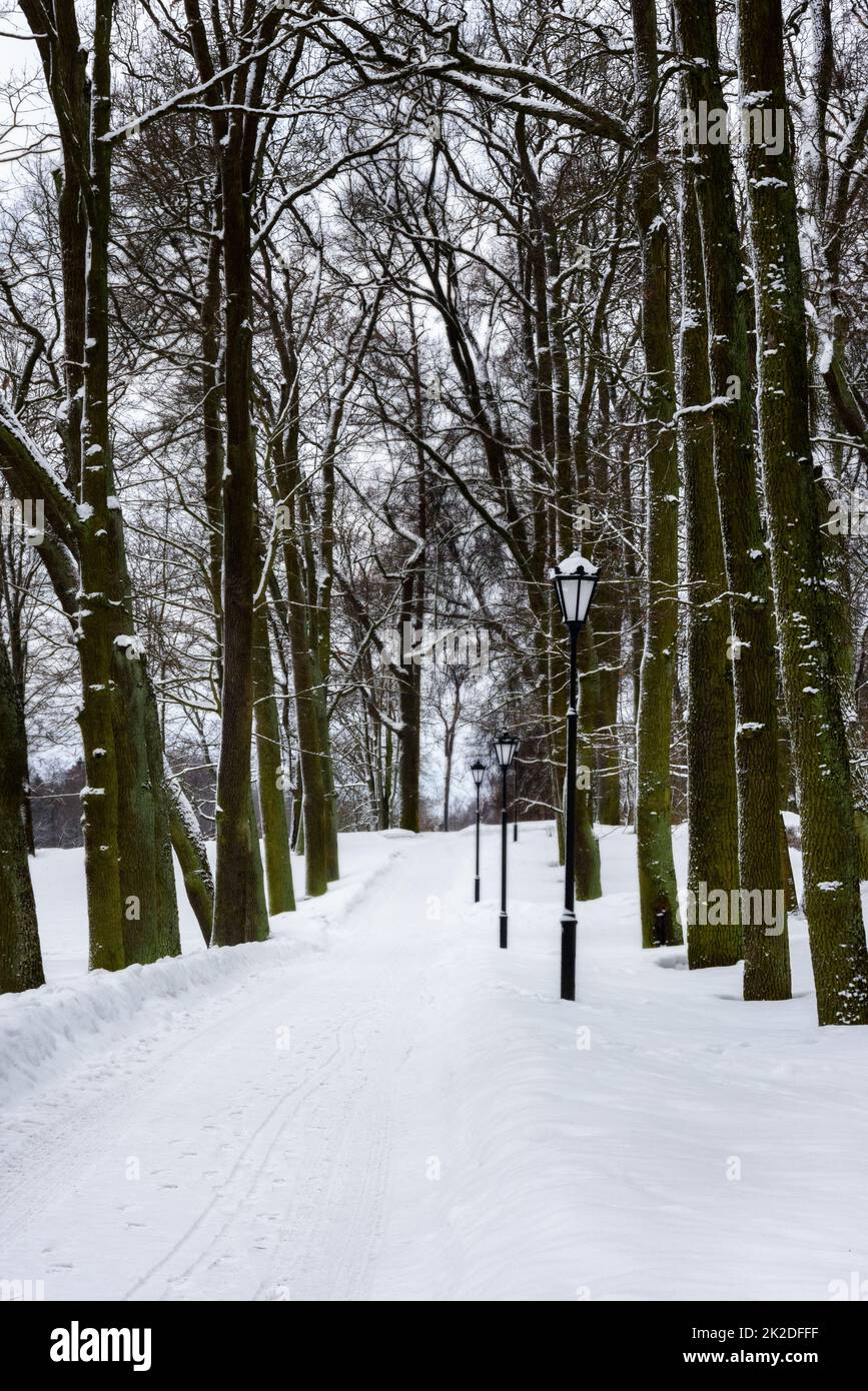 Winter landscape in a park with trees covered with snow Stock Photo - Alamy