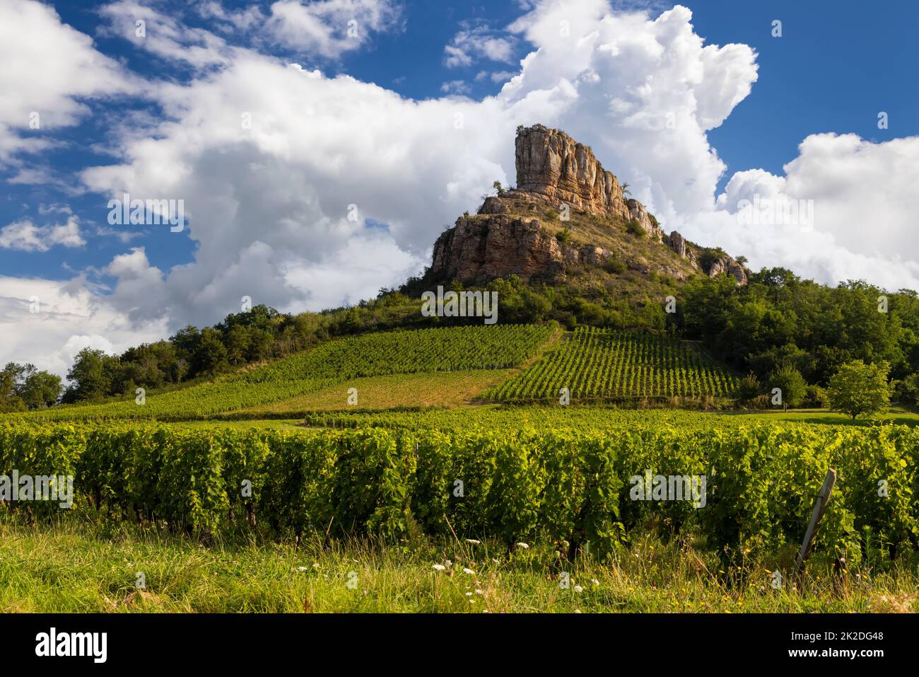 Rock of Solutre with vineyards, Burgundy, Solutre-Pouilly, France Stock ...