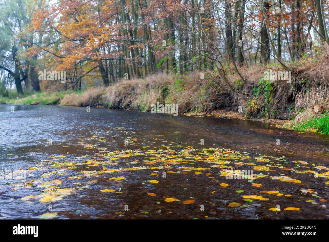 Dyje river thaya hi-res stock photography and images - Alamy