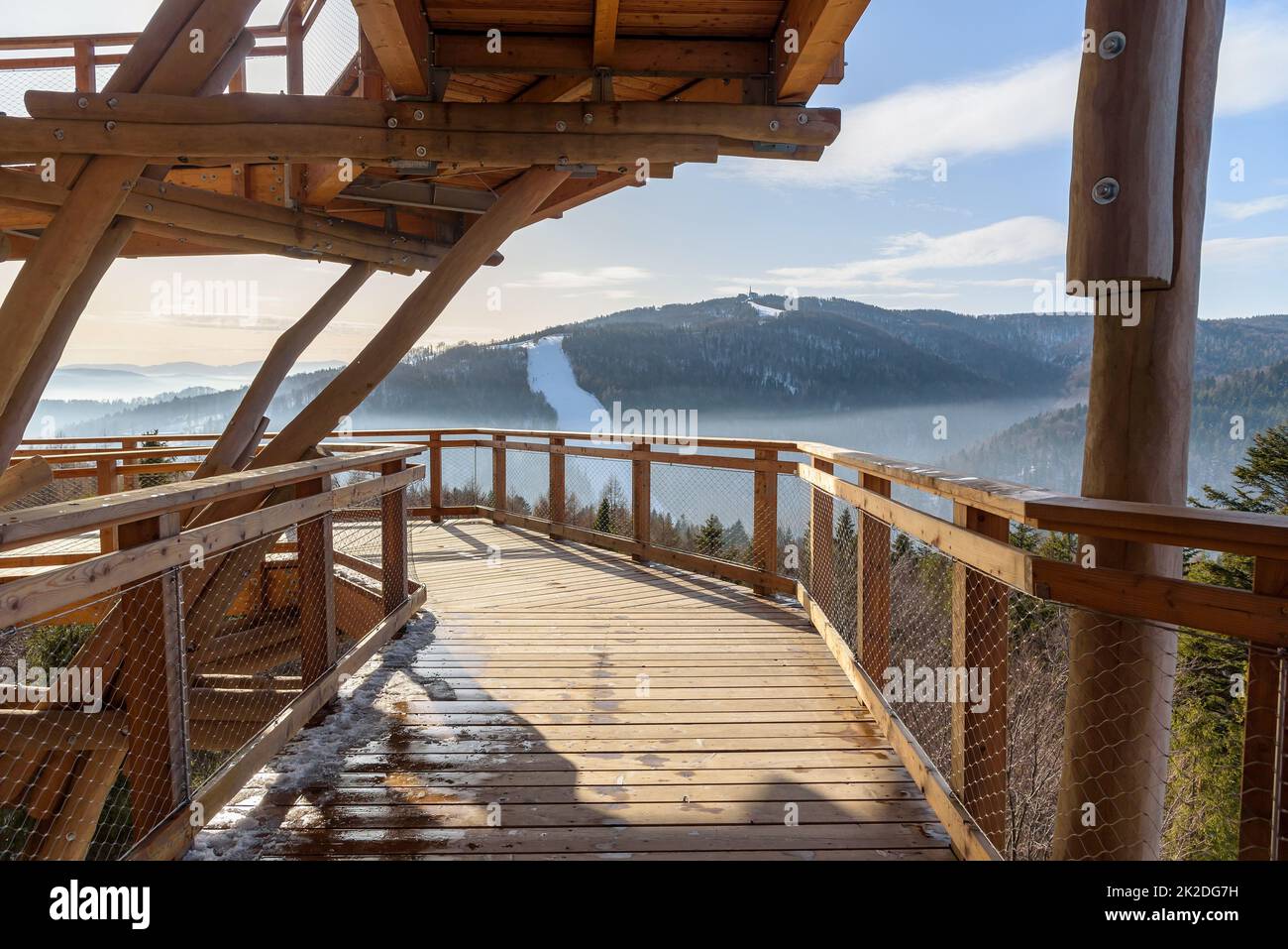 Wooden path of observation tower amogns the trees Stock Photo - Alamy