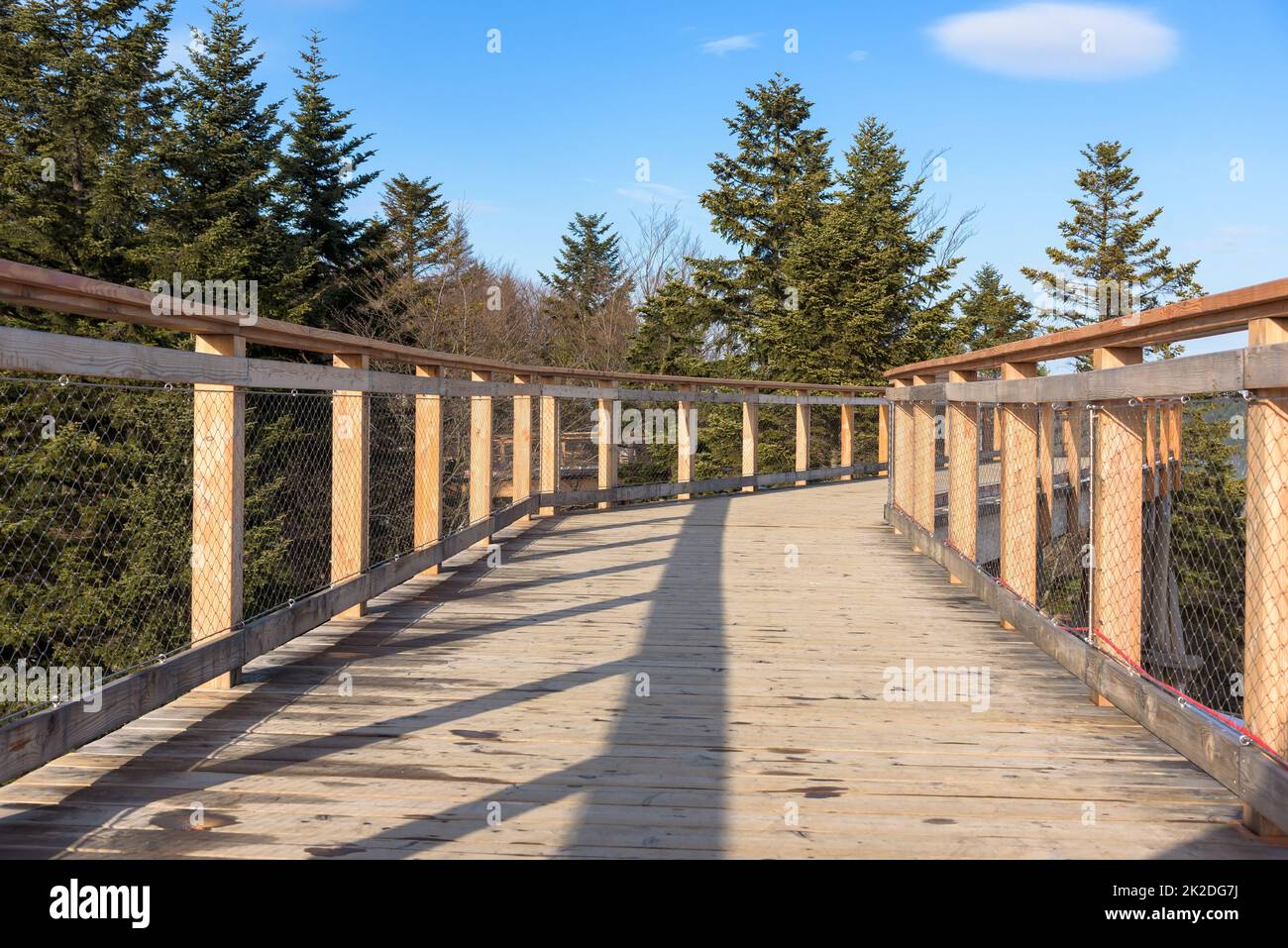 Wooden path treetop observation hi-res stock photography and images - Alamy