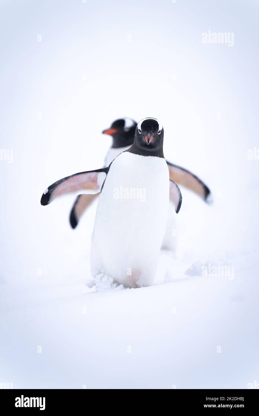 Cross and line hi-res stock photography and images - Alamy