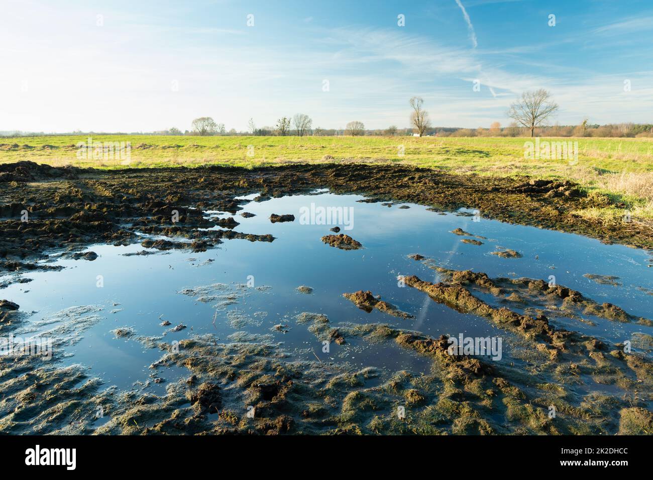 Water and mud in the meadow, spring day Stock Photo - Alamy
