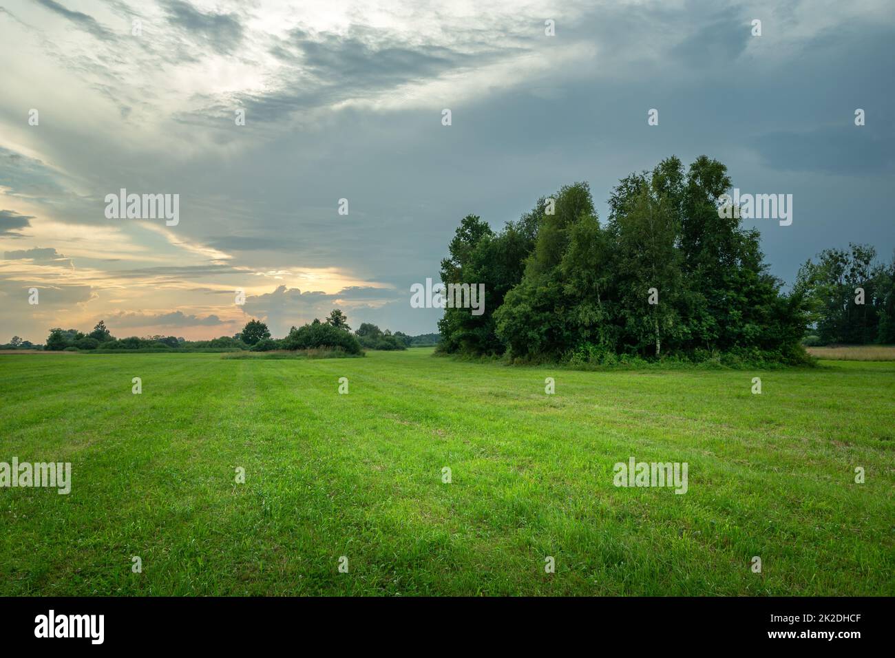 Evening sky trees hi-res stock photography and images - Alamy