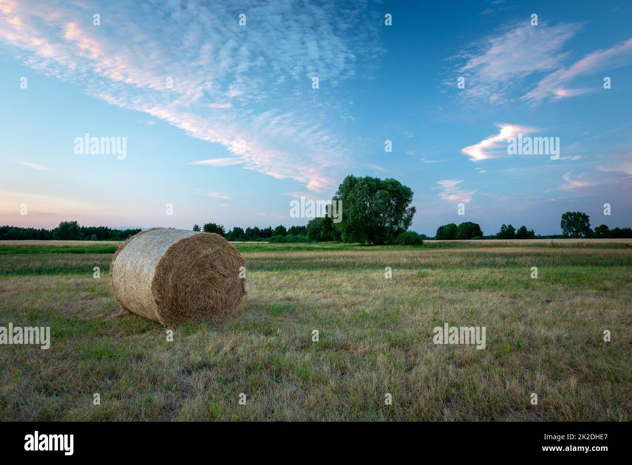 Single bale hi-res stock photography and images - Alamy