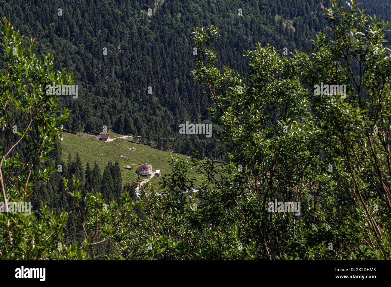 Italian alpine pastures Stock Photo - Alamy