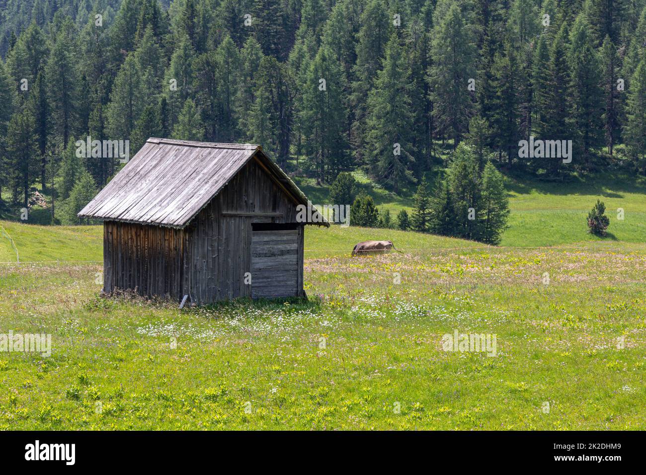 Alpine summer pastures hi-res stock photography and images - Alamy