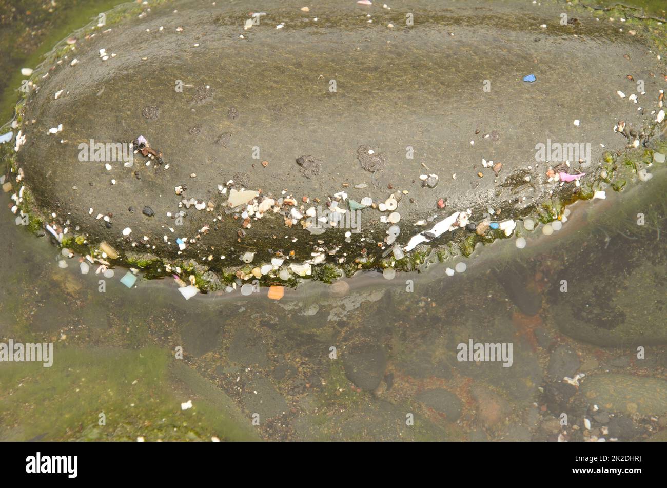Microplastics on a coastal rock Stock Photo - Alamy