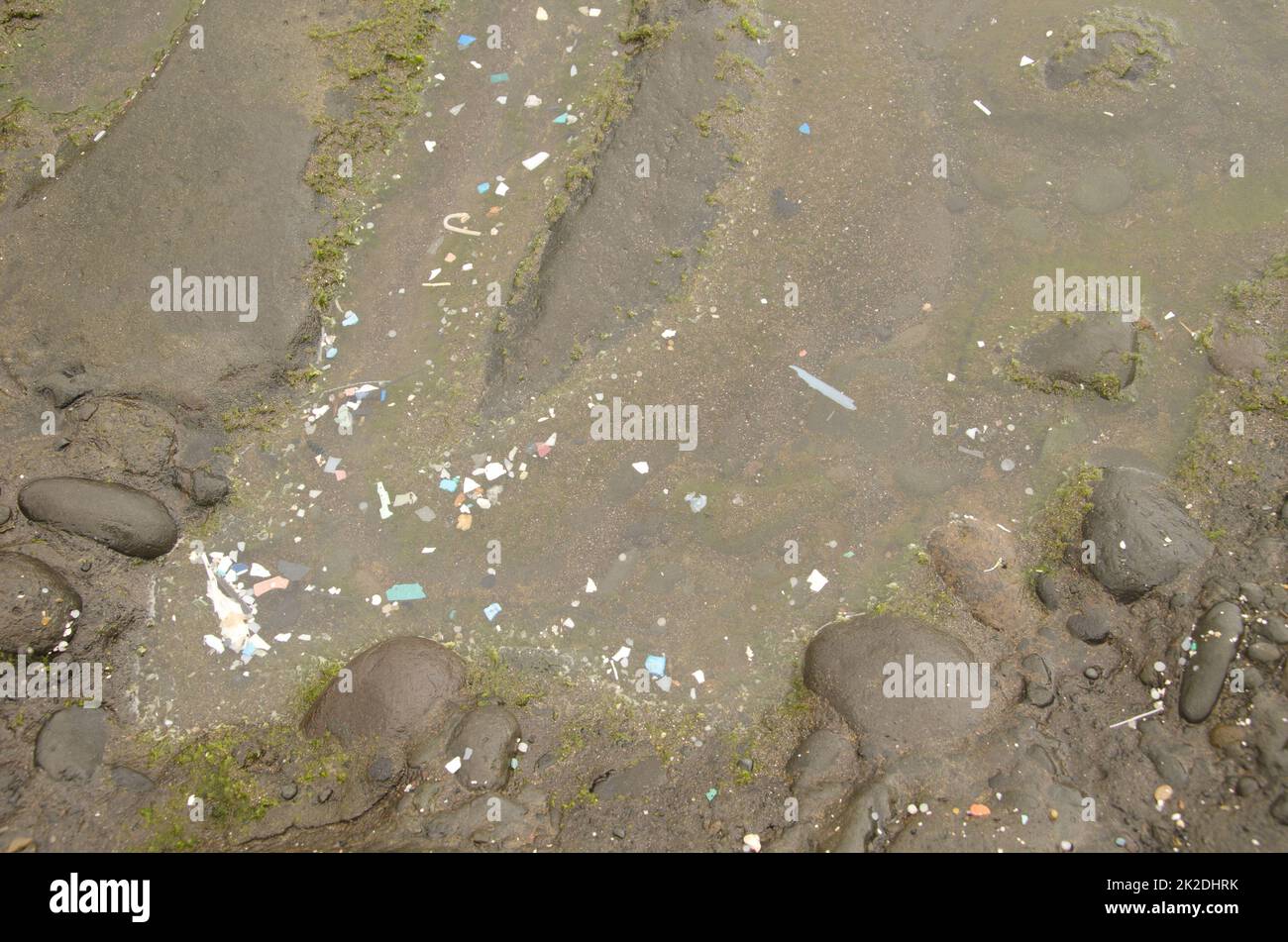 Microplastics in the environment hi-res stock photography and images ...