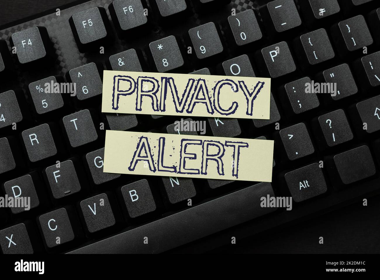 Text sign showing Privacy Alert. Concept meaning warns the user from ...