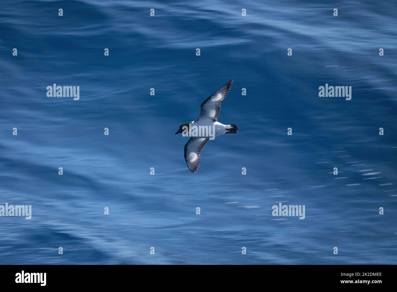 Banking over hi-res stock photography and images - Alamy