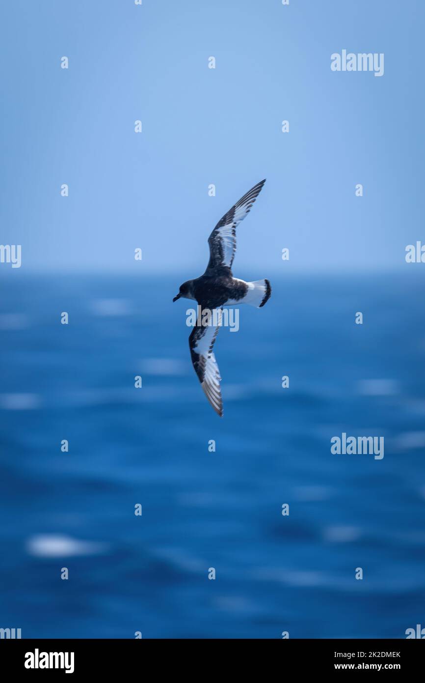 Banking over hi-res stock photography and images - Alamy