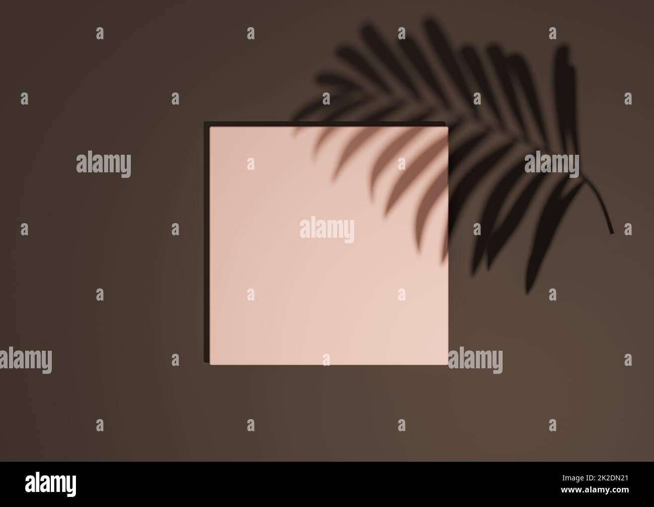 Dark brown, 3D render minimal, simple top view flat lay product display ...