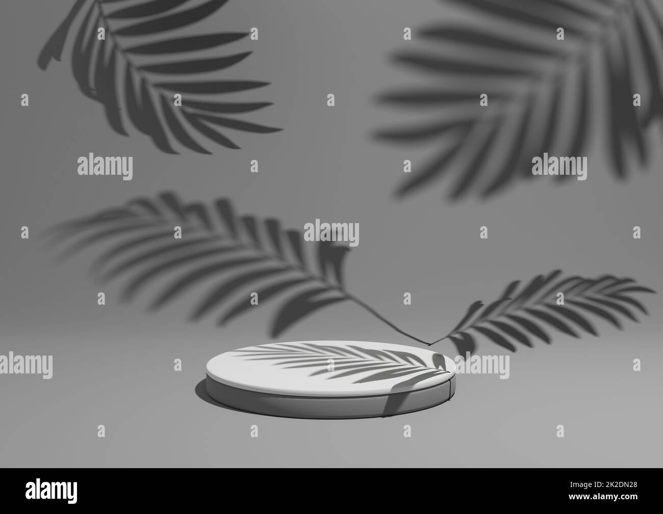 Dark graphite gray, black and white, 3D render of a simple, minimal product display composition ...