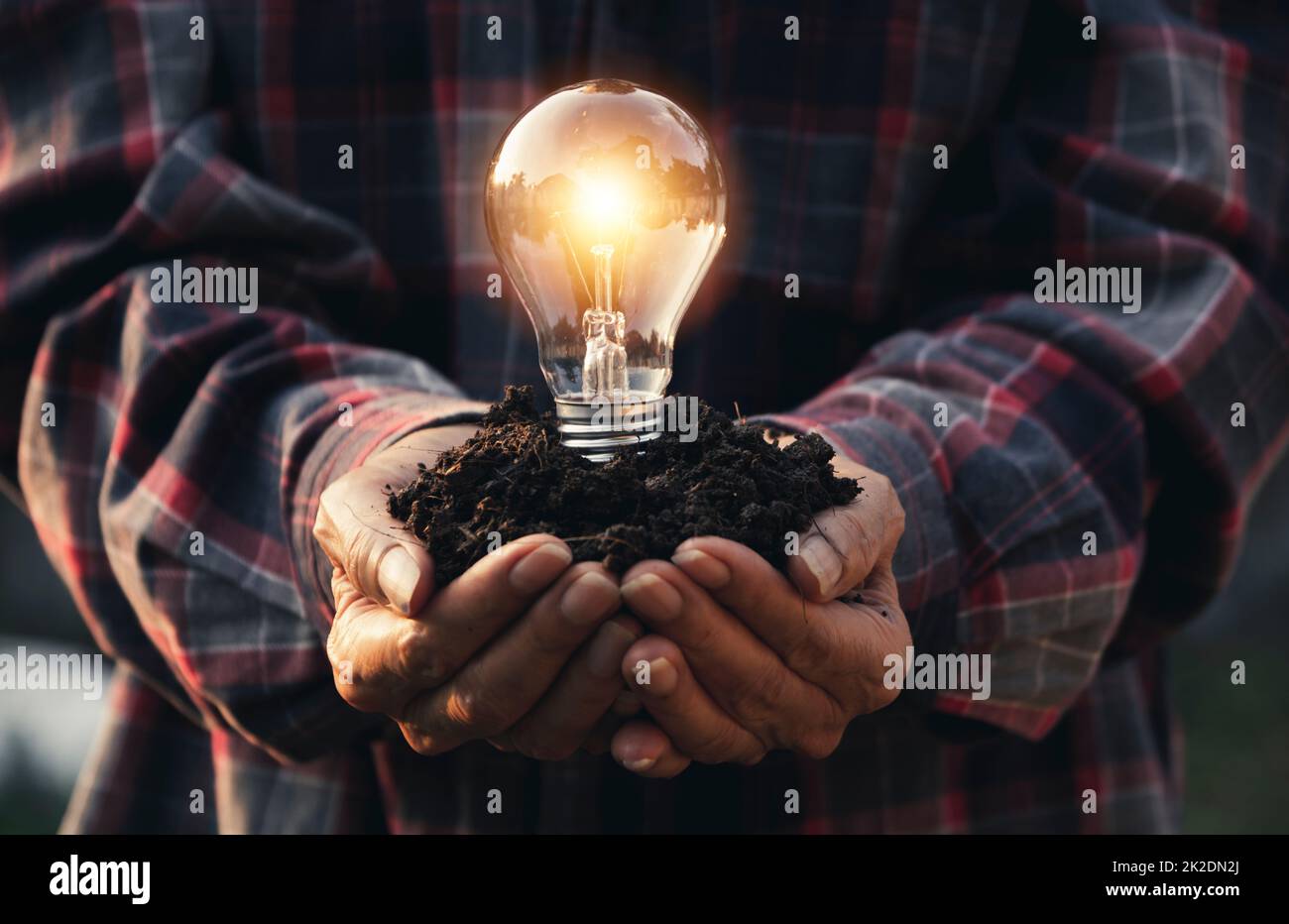 Innovation and energy concept of hand hold a light bulb and copy space ...