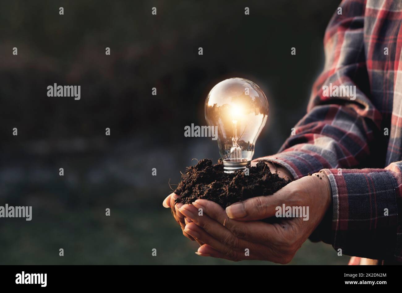 Innovation and energy concept of hand hold a light bulb and copy space ...