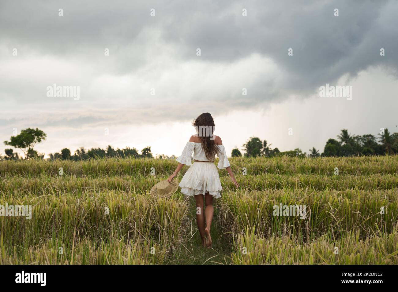 Carefree woman wearing straw hat in the rice field Stock Photo - Alamy