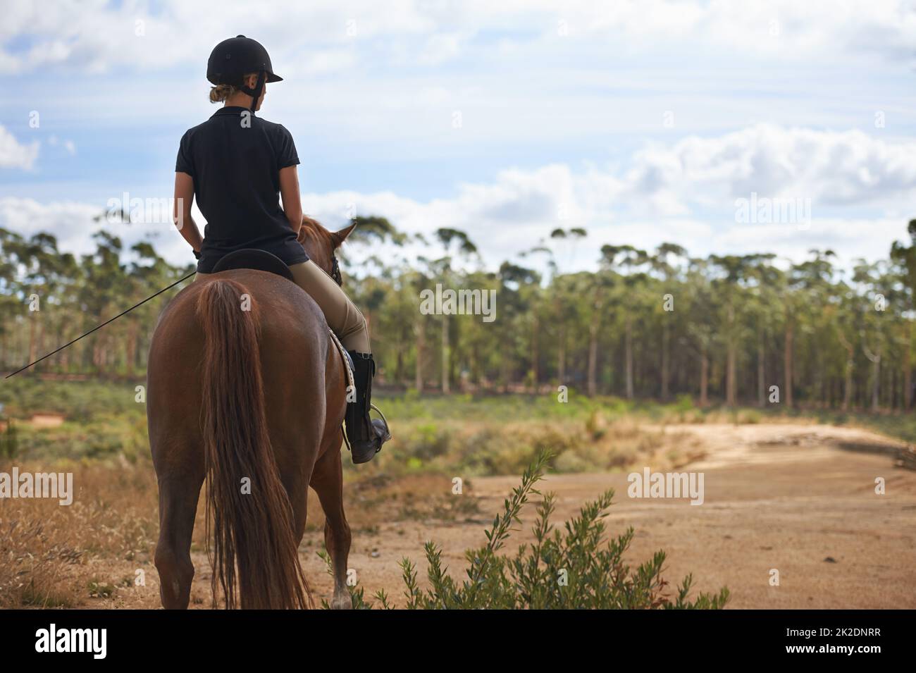 Experiencing nature on horseback. A young woman going for a ride on her ...