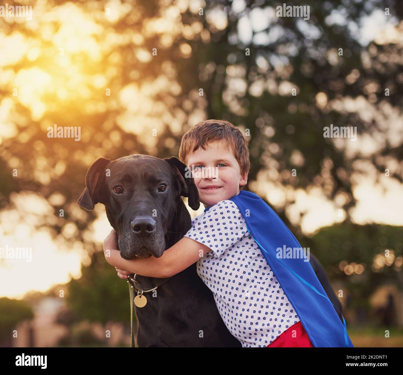 Super happy dog hi-res stock photography and images - Alamy