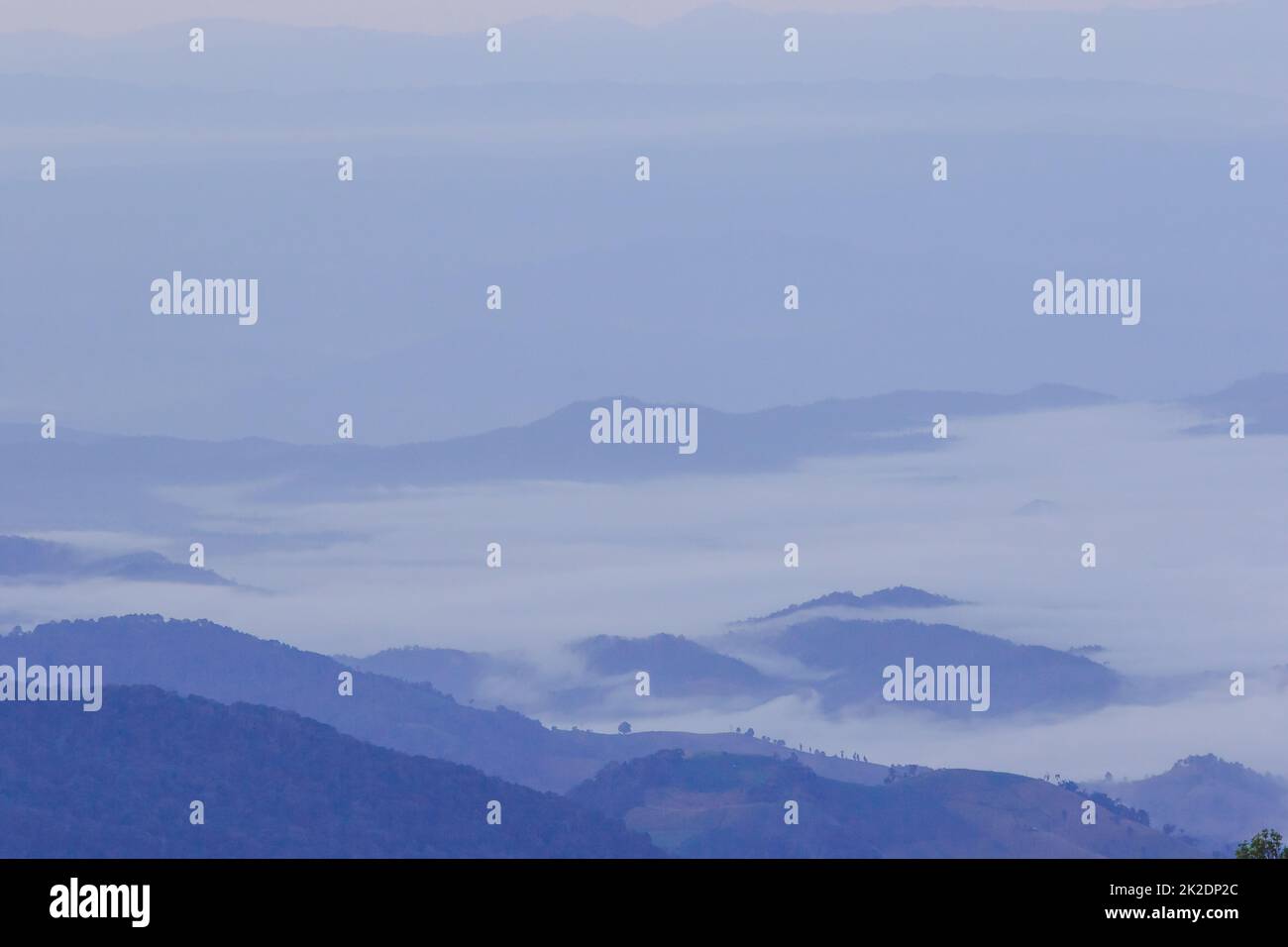 The landscape of the morning on the mountain with fog covers the forest ...
