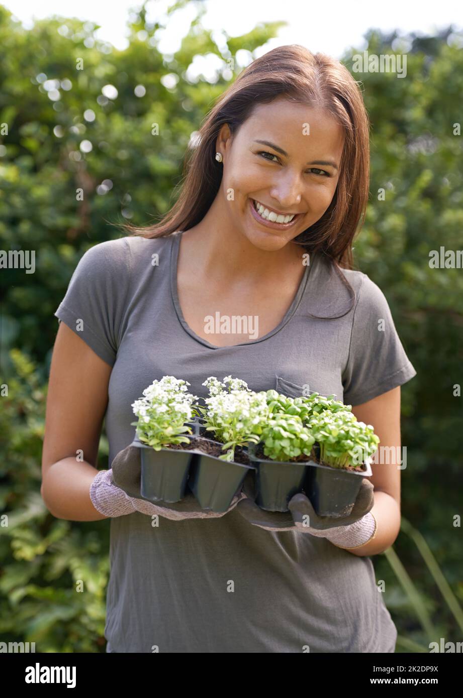 Six pack hi-res stock photography and images - Alamy