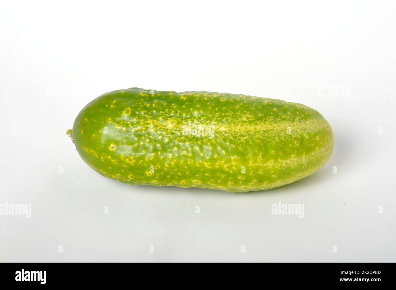 Small cucumber on a white background Stock Photo - Alamy