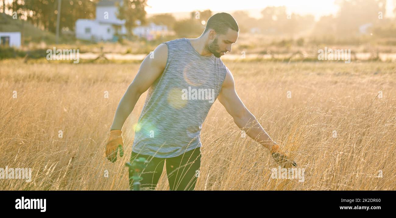 Man walking through field touching hi-res stock photography and images ...