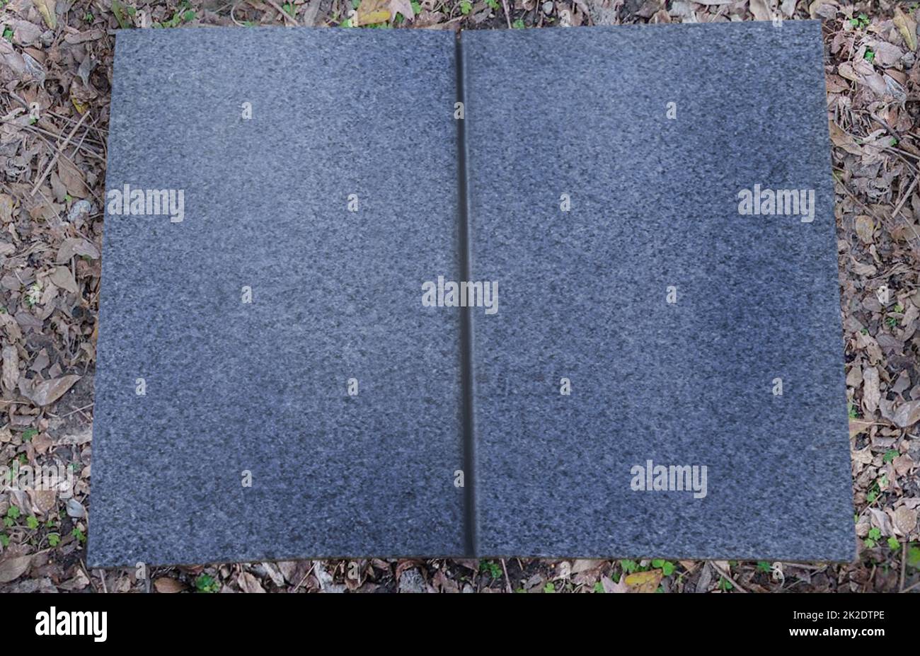 In memory of. Shot of a gravestone in a cemetery Stock Photo - Alamy