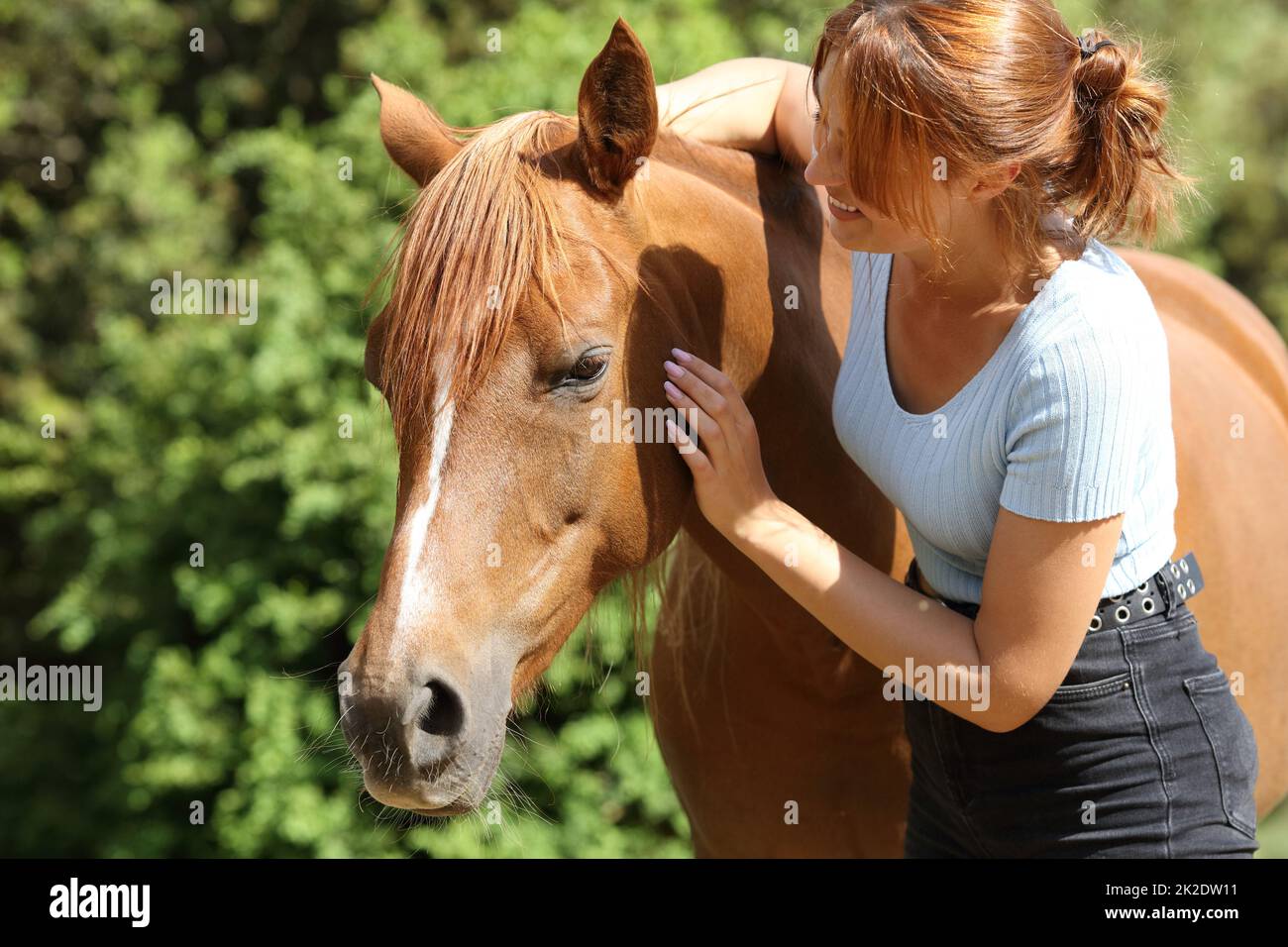 Happy woman caressing a horse in a farm Stock Photo - Alamy