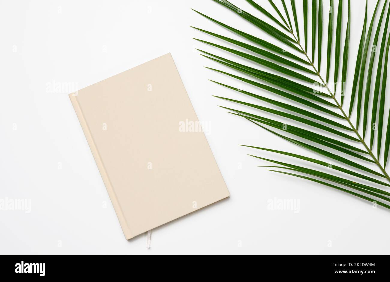 green palm leaf and notepad on white background, top view Stock Photo ...