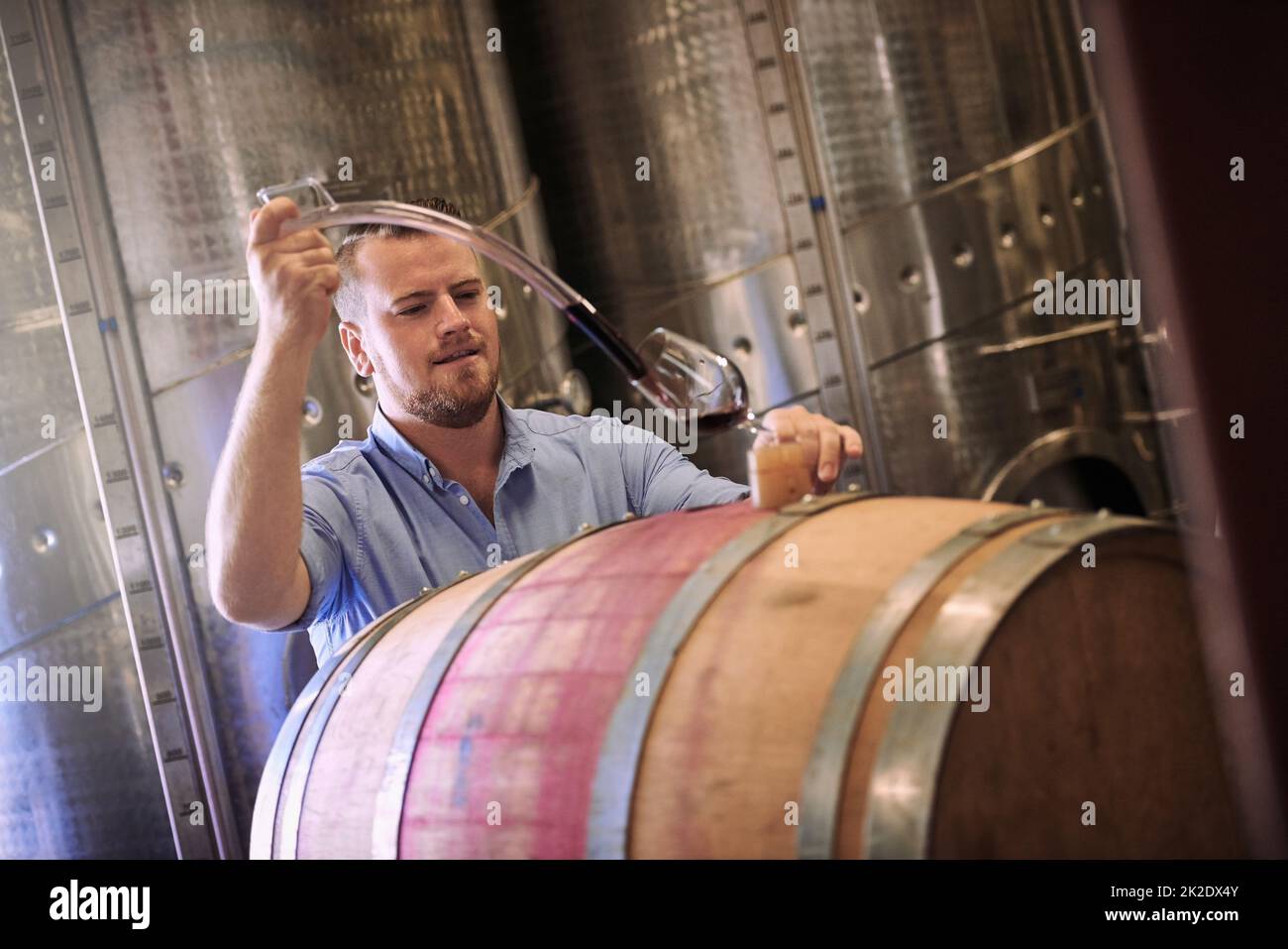 My wine is crafted with care, dedication and love. Cropped shot of a ...