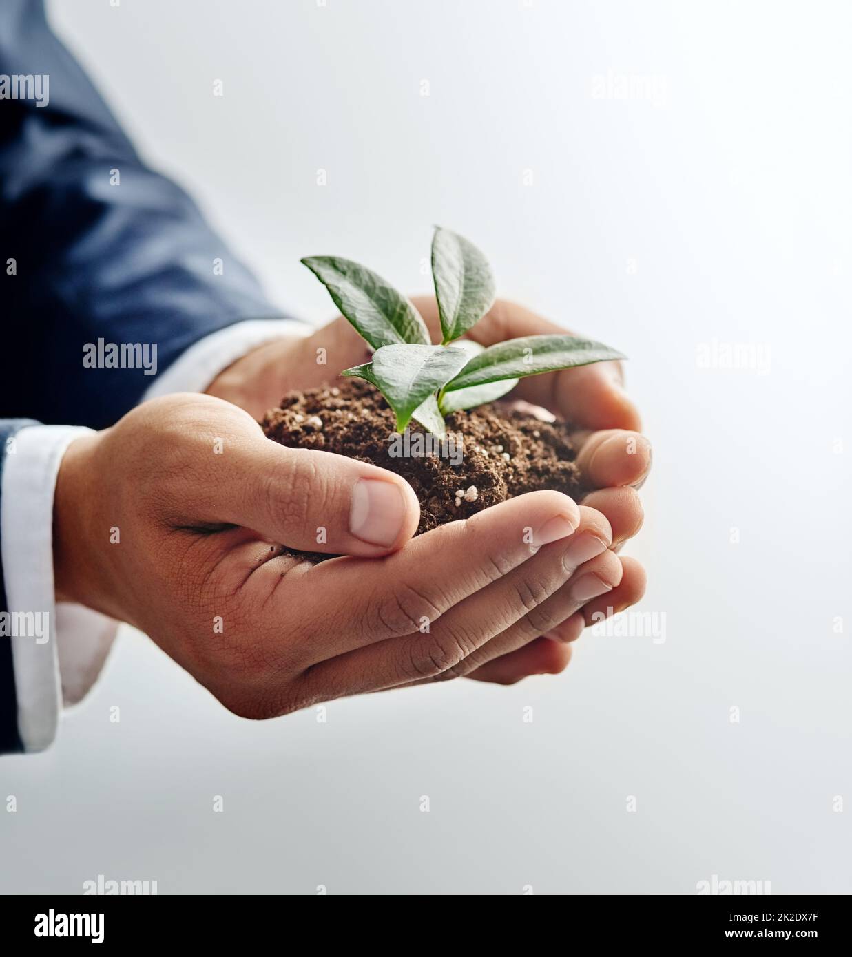 Holding sprouting staff hi-res stock photography and images - Alamy