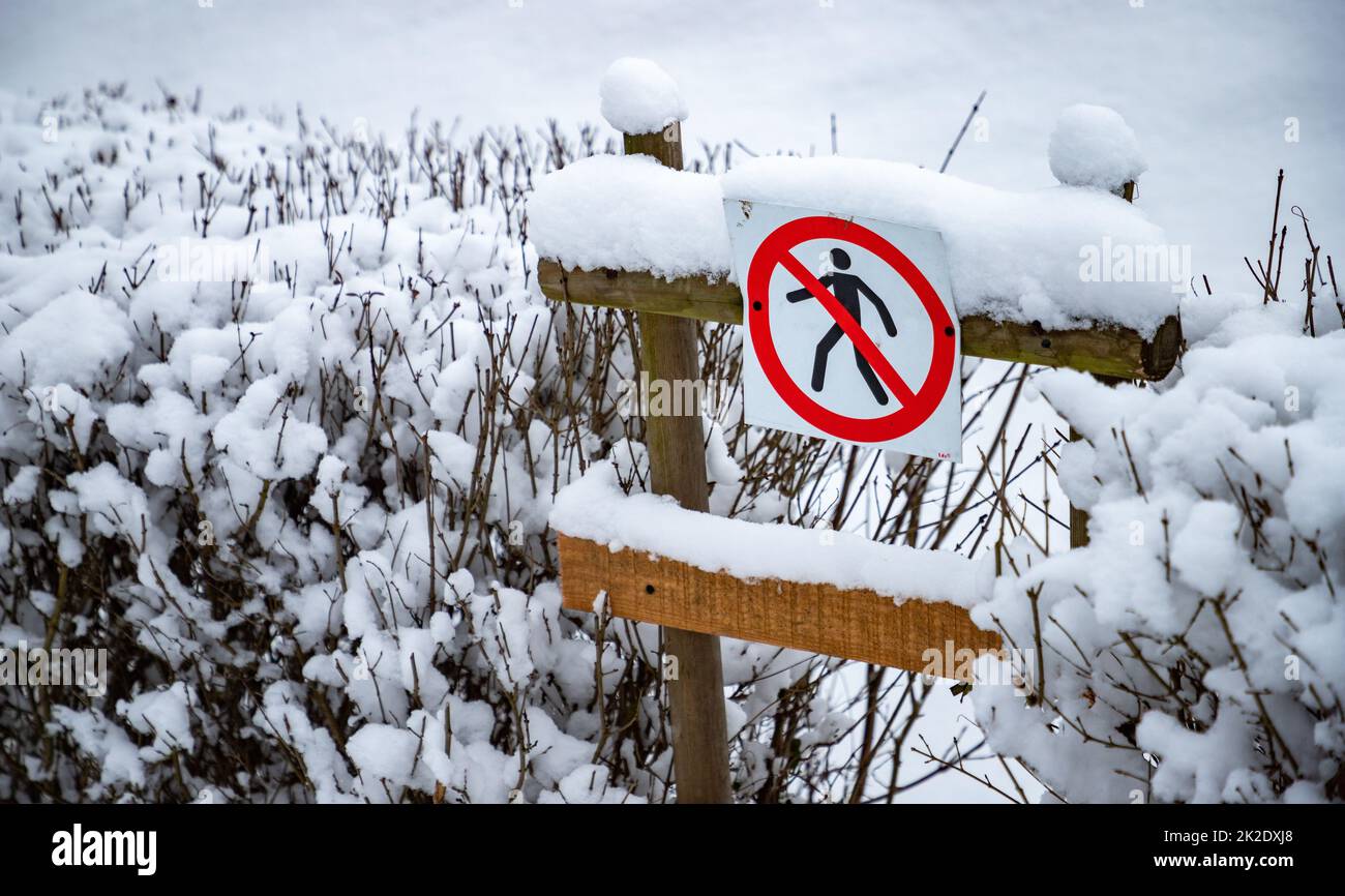 No Walking Sign in the Winter Stock Photo - Alamy