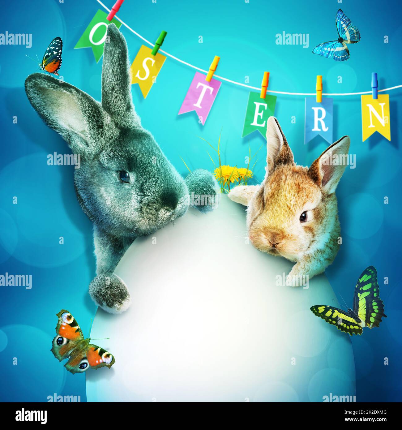 Funny Easter bunny. Happy Easter holiday concept Stock Photo - Alamy