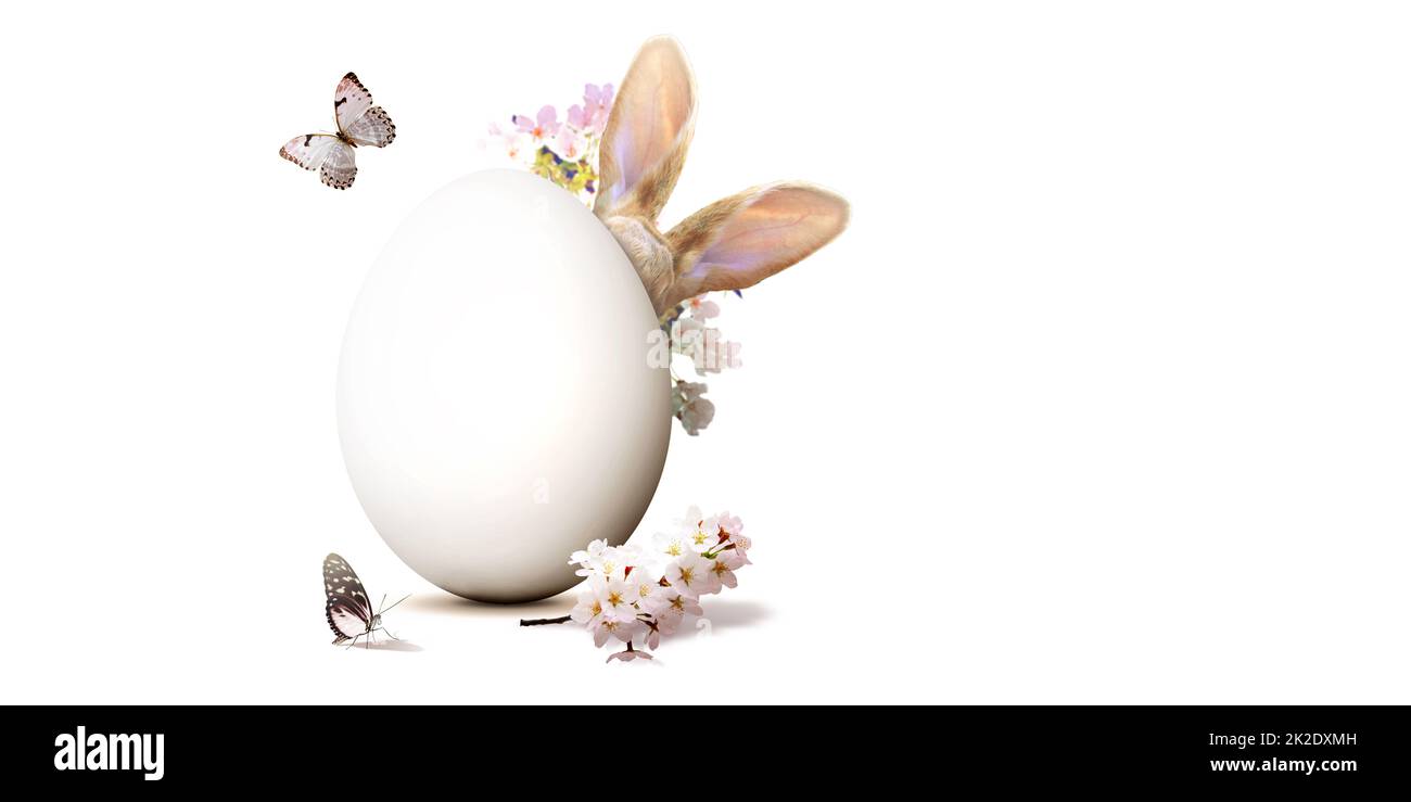 Funny Easter bunny. Happy Easter holiday concept Stock Photo - Alamy