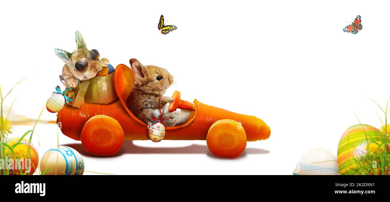 Funny Easter bunny. Happy Easter holiday concept Stock Photo - Alamy