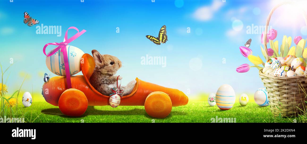 Funny Easter bunny. Happy Easter holiday concept Stock Photo - Alamy