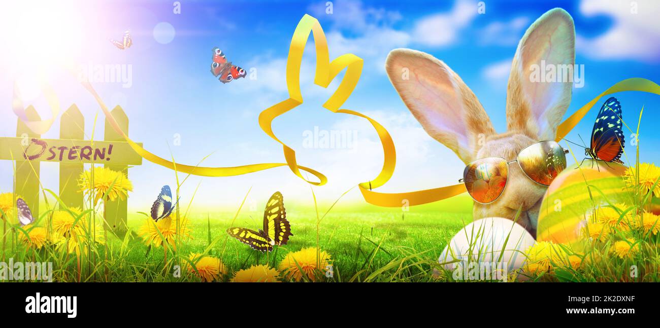 Funny Easter bunny. Happy Easter holiday concept Stock Photo - Alamy