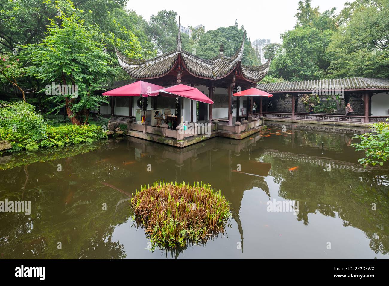 Traditional Chinese corridor and a pond in Chengdu people's park Stock ...