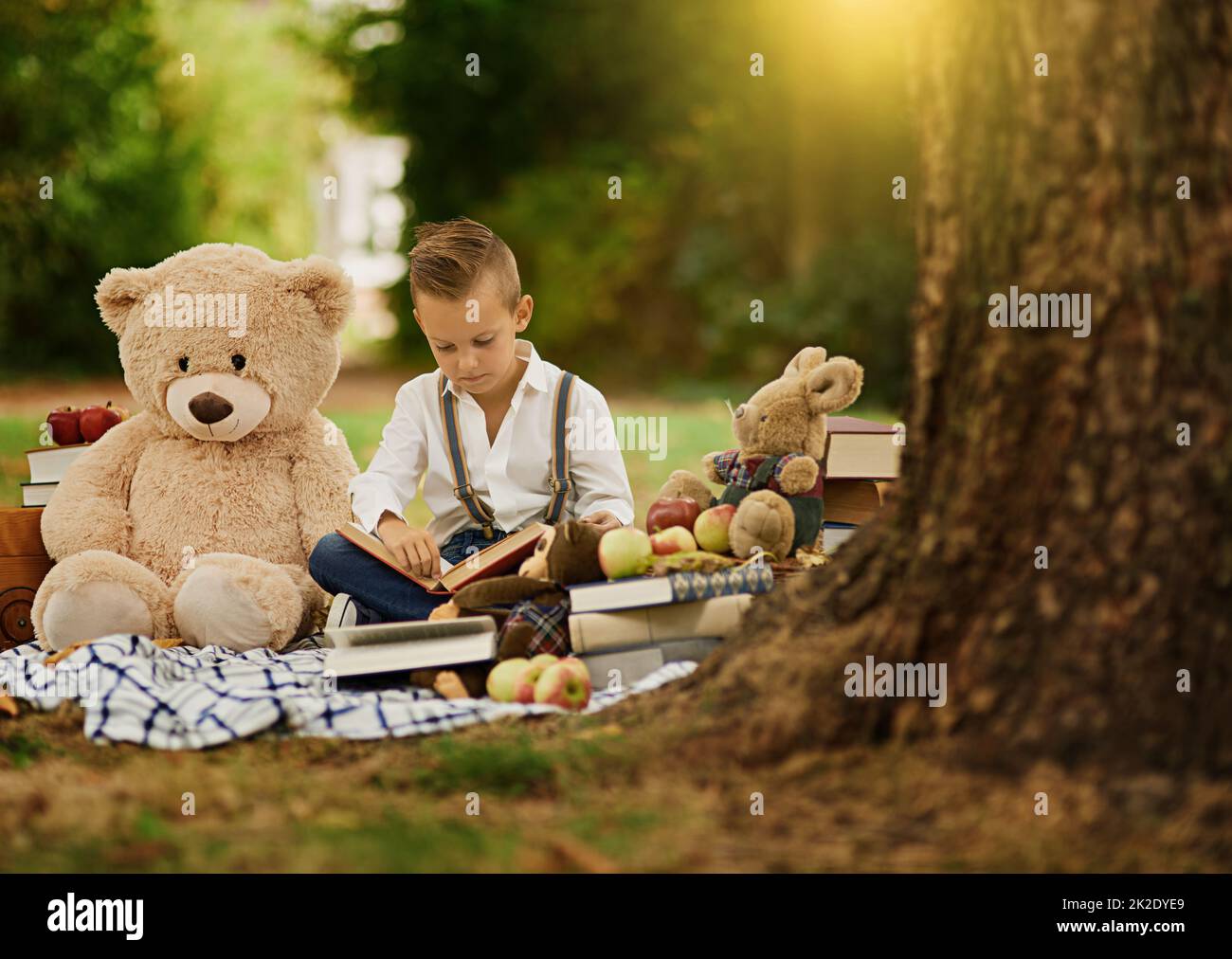 Boy reading book in tree hi-res stock photography and images - Alamy