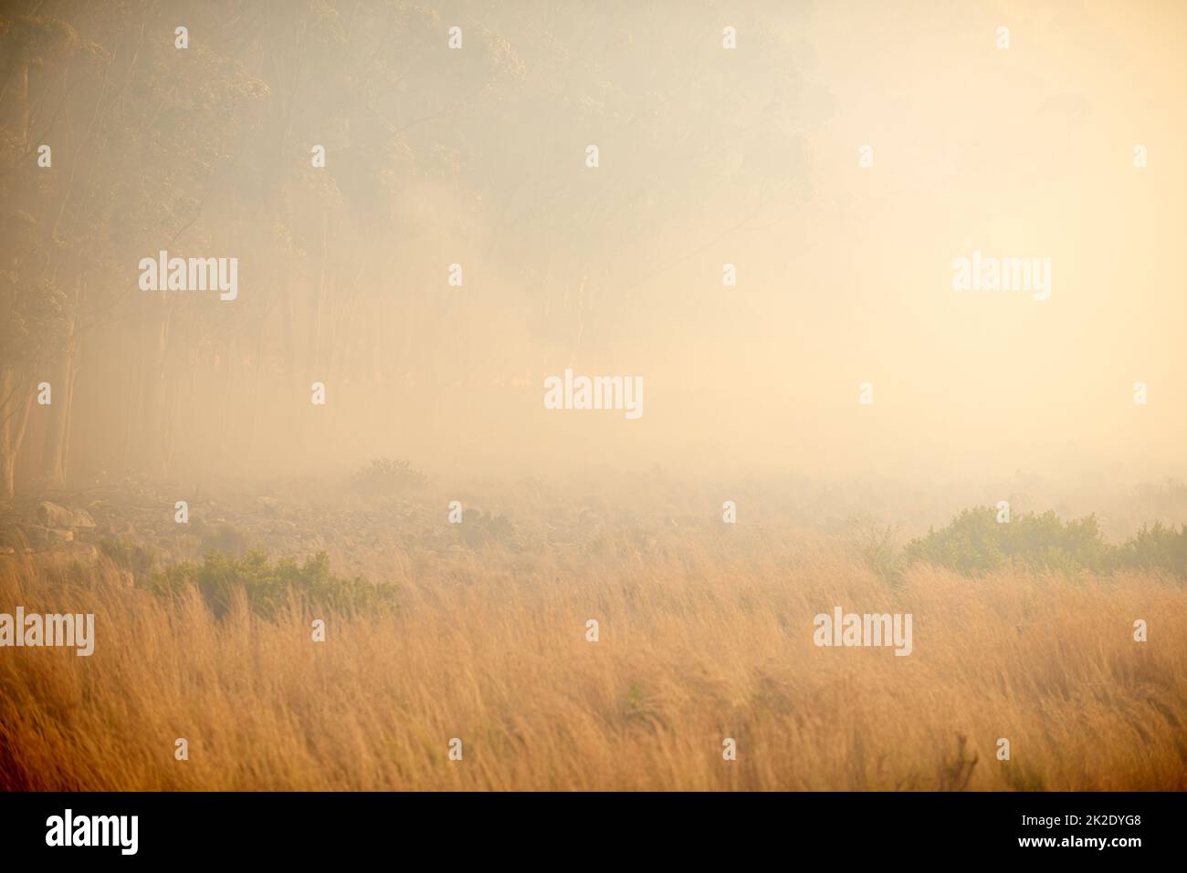 Fire flames distance nobody hi-res stock photography and images - Alamy