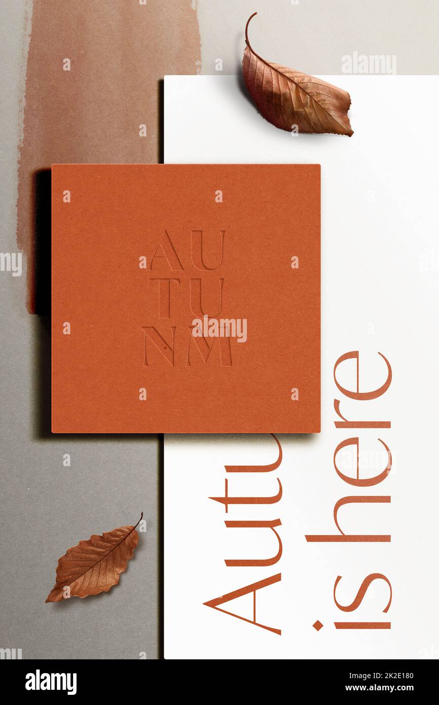 warm autumn graphic frame background with leaves and fall objects Stock ...