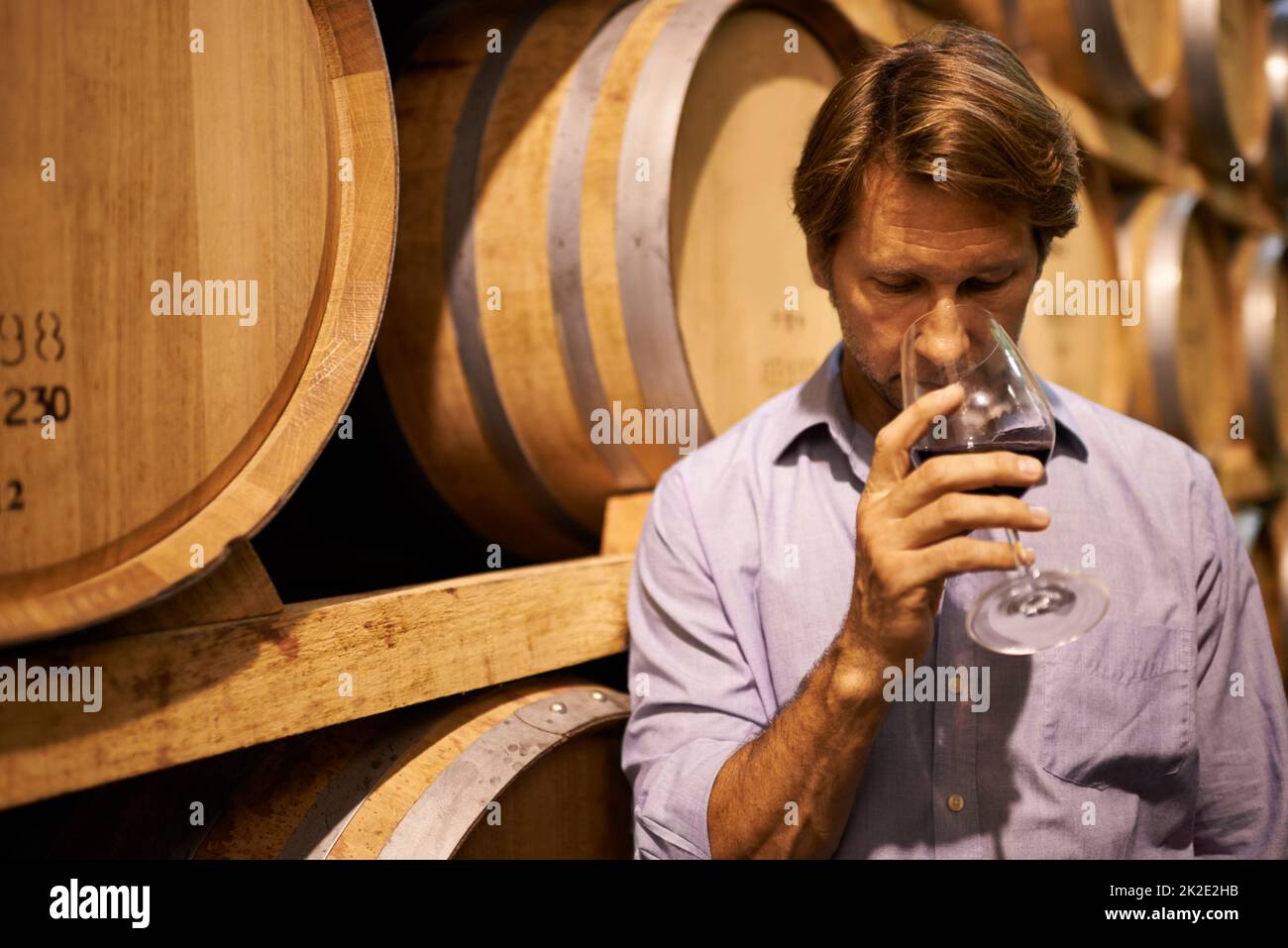 Person in a wine cellar hi-res stock photography and images - Alamy