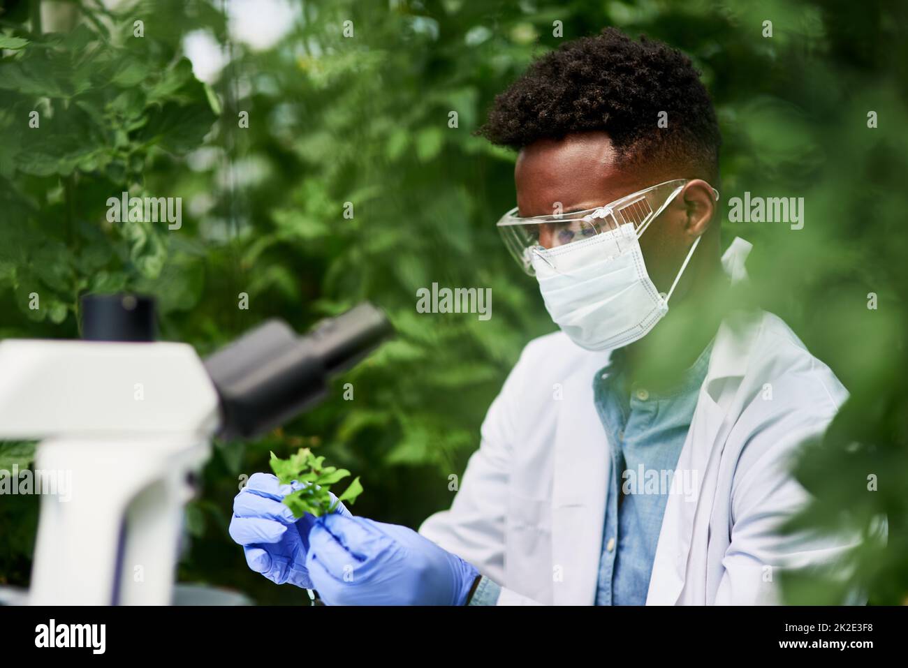 Discovering new species hi-res stock photography and images - Alamy