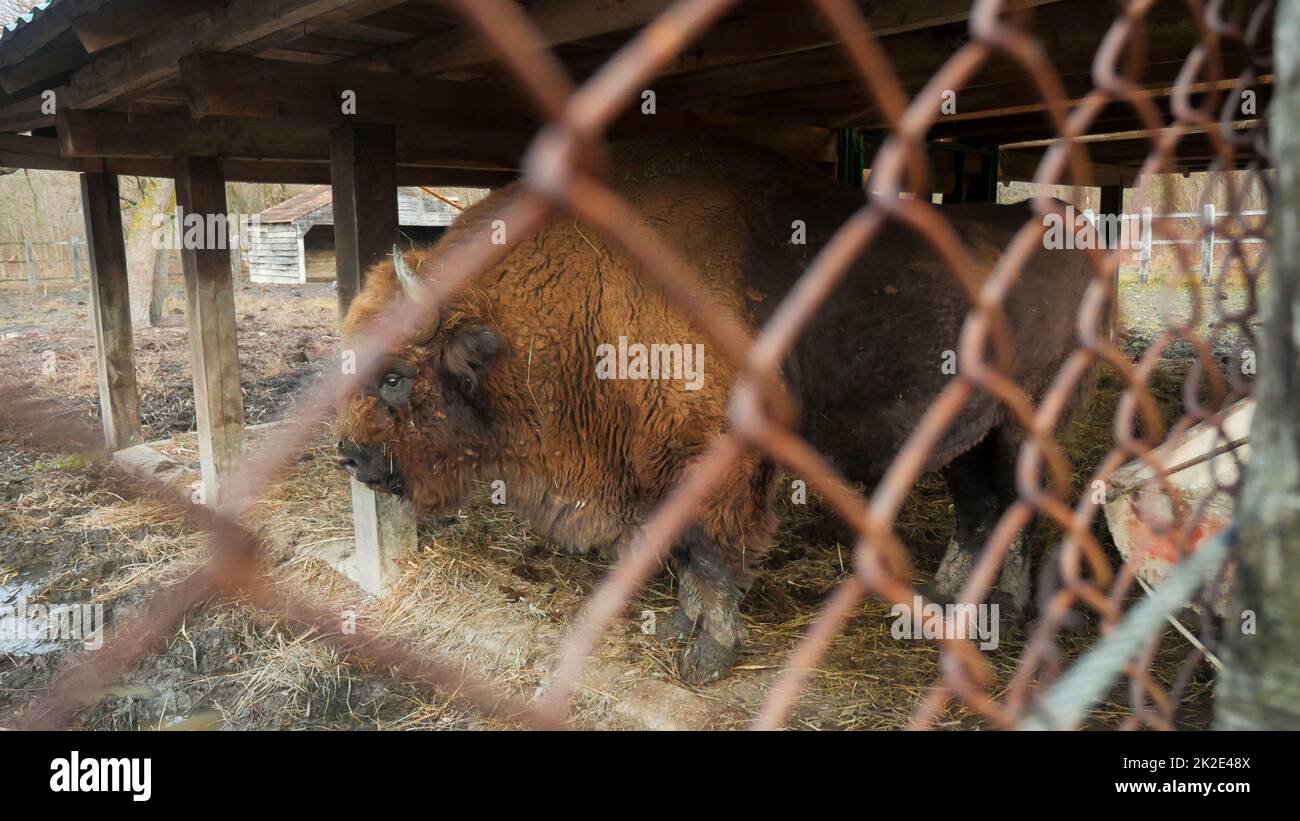 Breeding space hi-res stock photography and images - Alamy