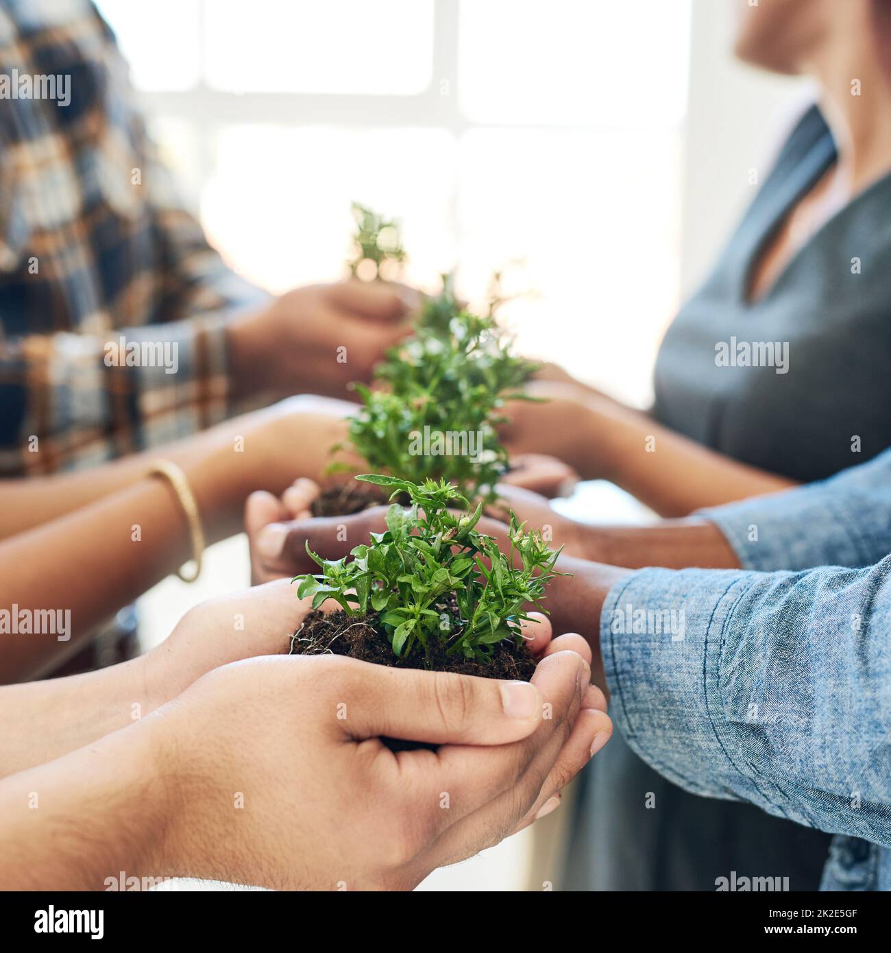 Business at root level. Cropped shot of a team of colleagues holding a ...