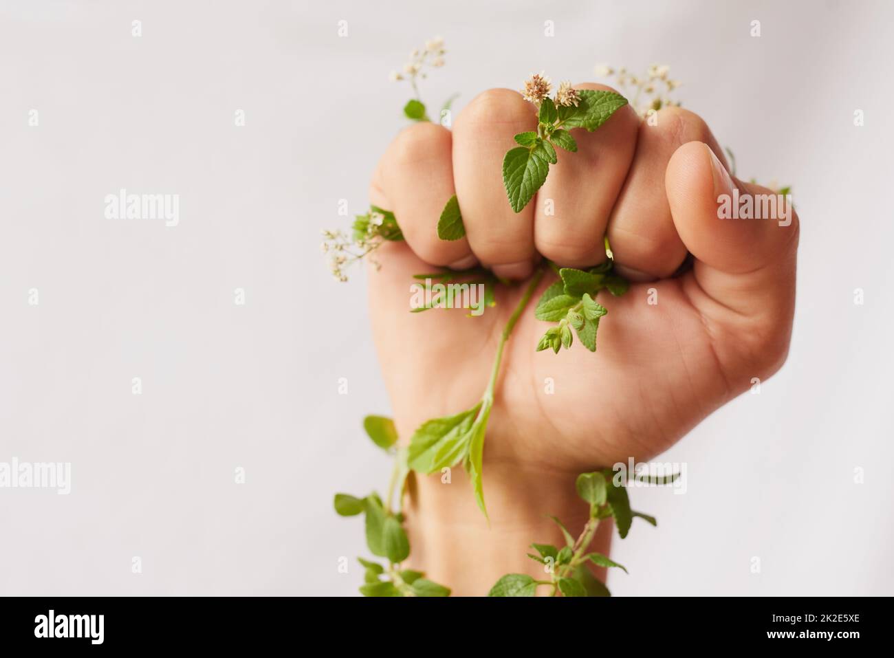Hand and flowers hi-res stock photography and images - Alamy